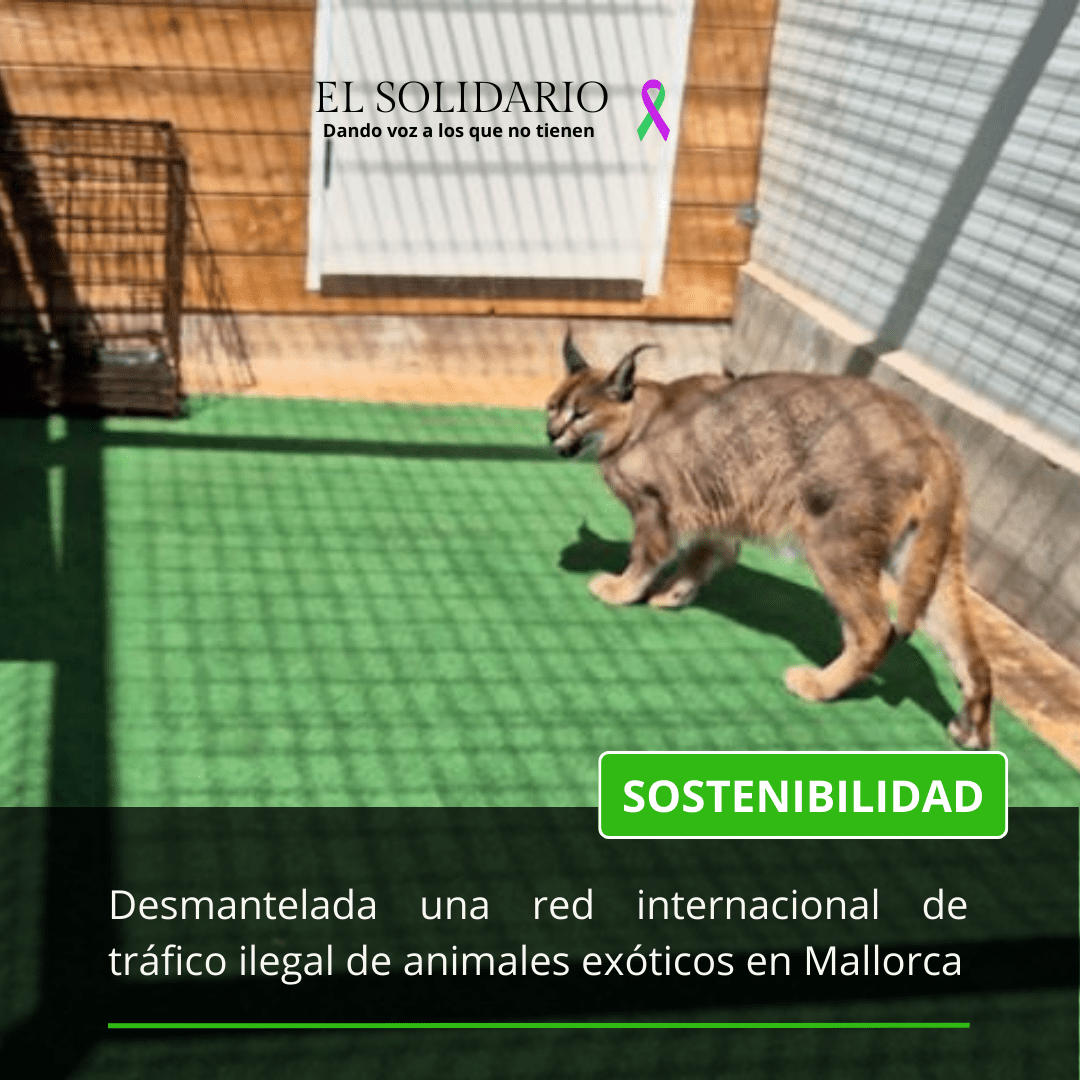 Desmantelada una red internacional de tráfico ilegal de animales