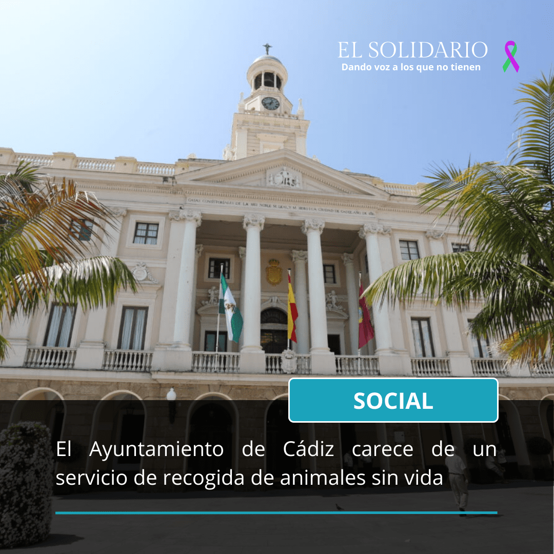 Cádiz carece de un servicio de recogida de animales sin vida